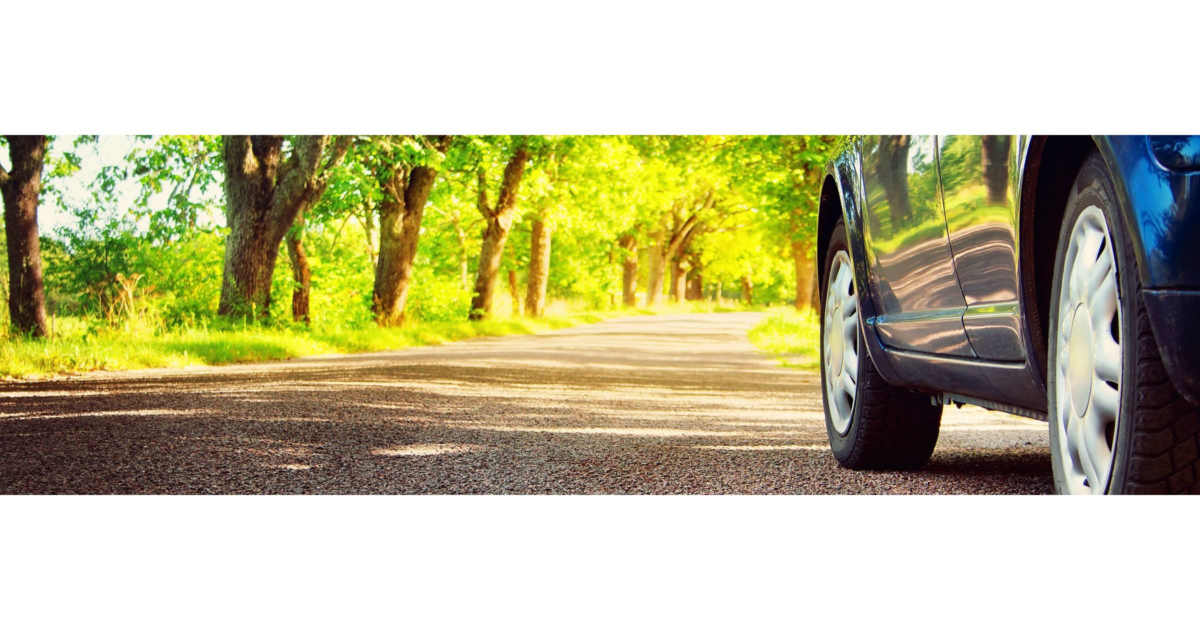 4 things you need to know about driving in spring